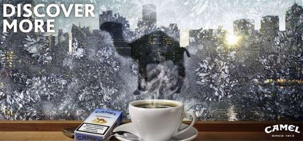 Let’s start with Camel. - CigsSpot